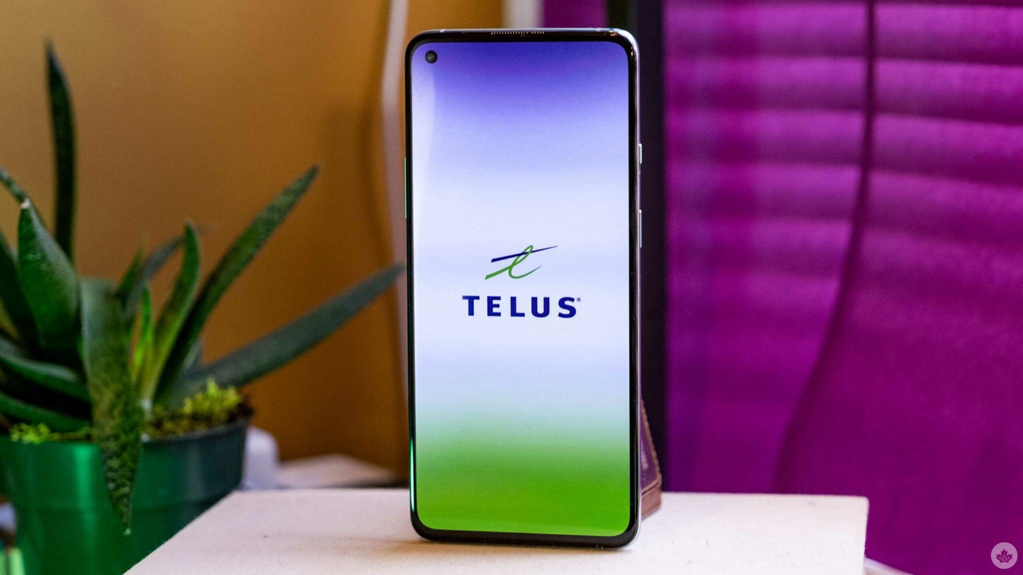 Telus network outage impacting mobile, home services in B.C. [Update ...